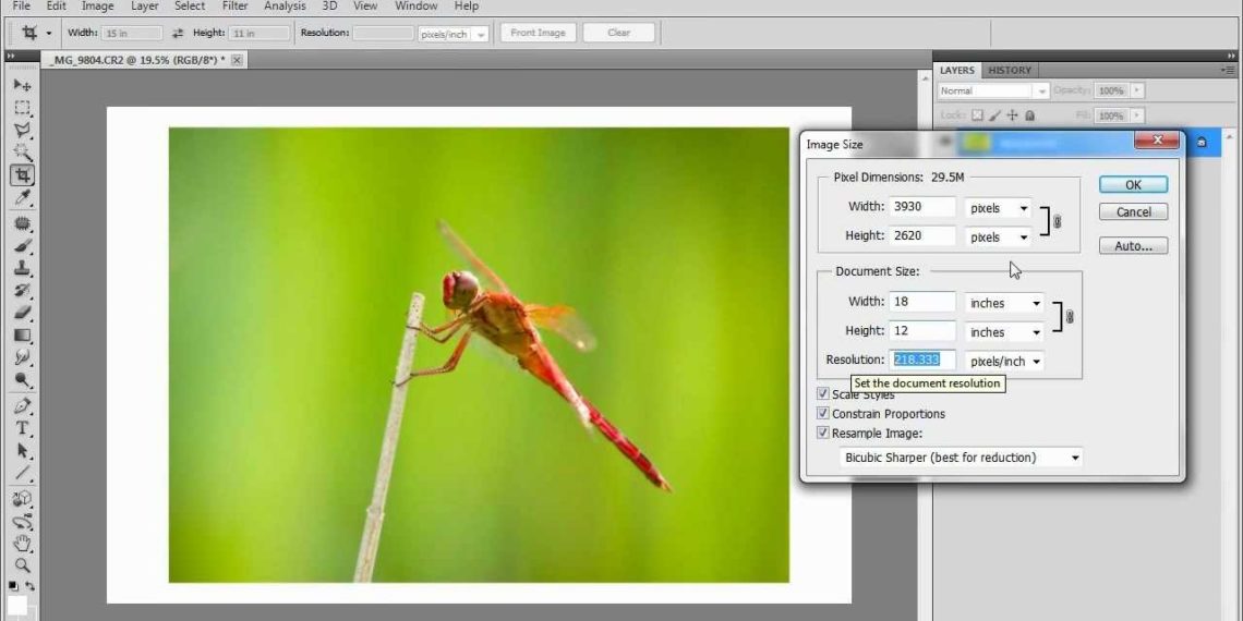 How Do I Make A Picture A Specific Size Big Photography Leading Photography Magazine 