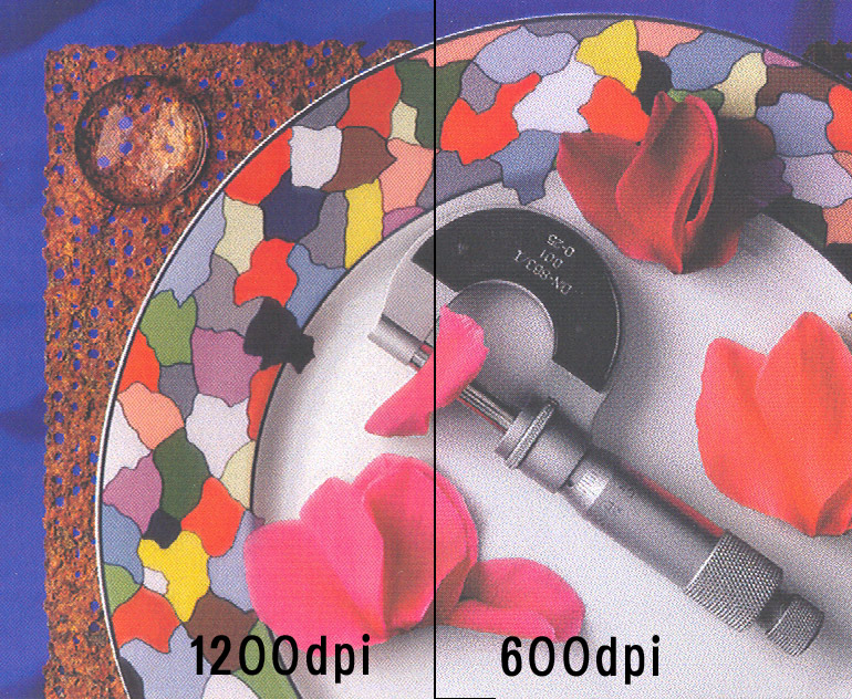 Is 600x600 Dpi Good Quality Big Photography Leading Photography