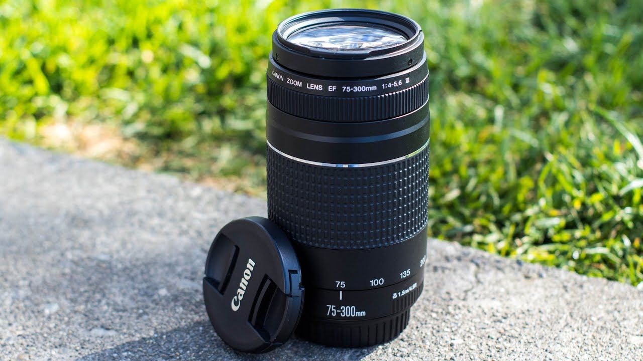 What Is A 75 300mm Lens Good For Big Photography Leading 
